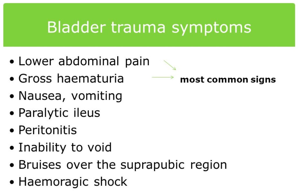7517 - Bladder, injury of | Medical EPSS