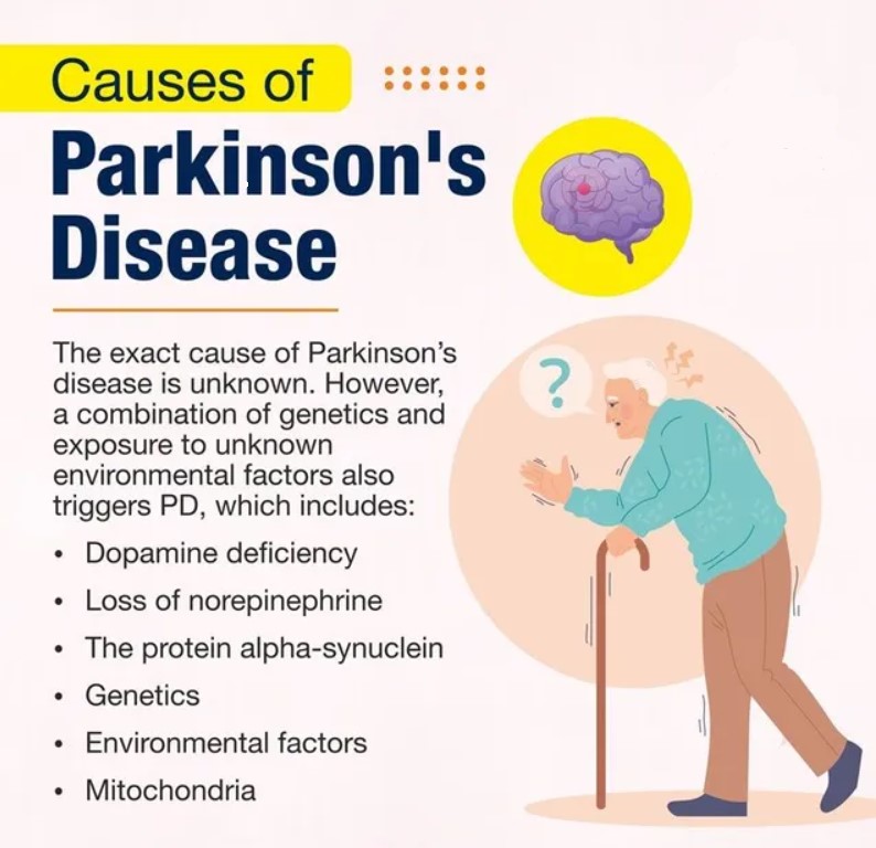 8004 - Paralysis agitans | Medical EPSS