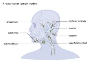 6017 - Trachomatous conjunctivitis | Medical EPSS